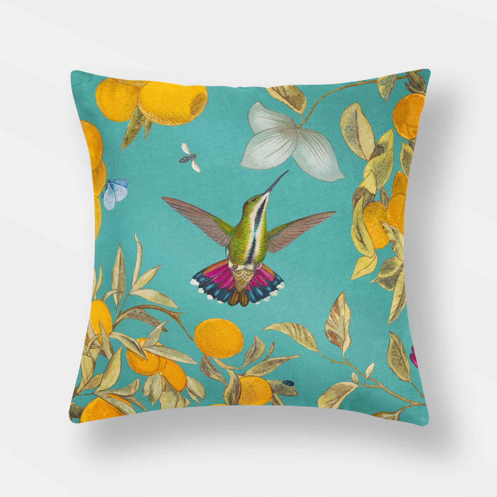 Hummingbirds Lemons and Bugs Super Soft Luxury Velvet - Etsy