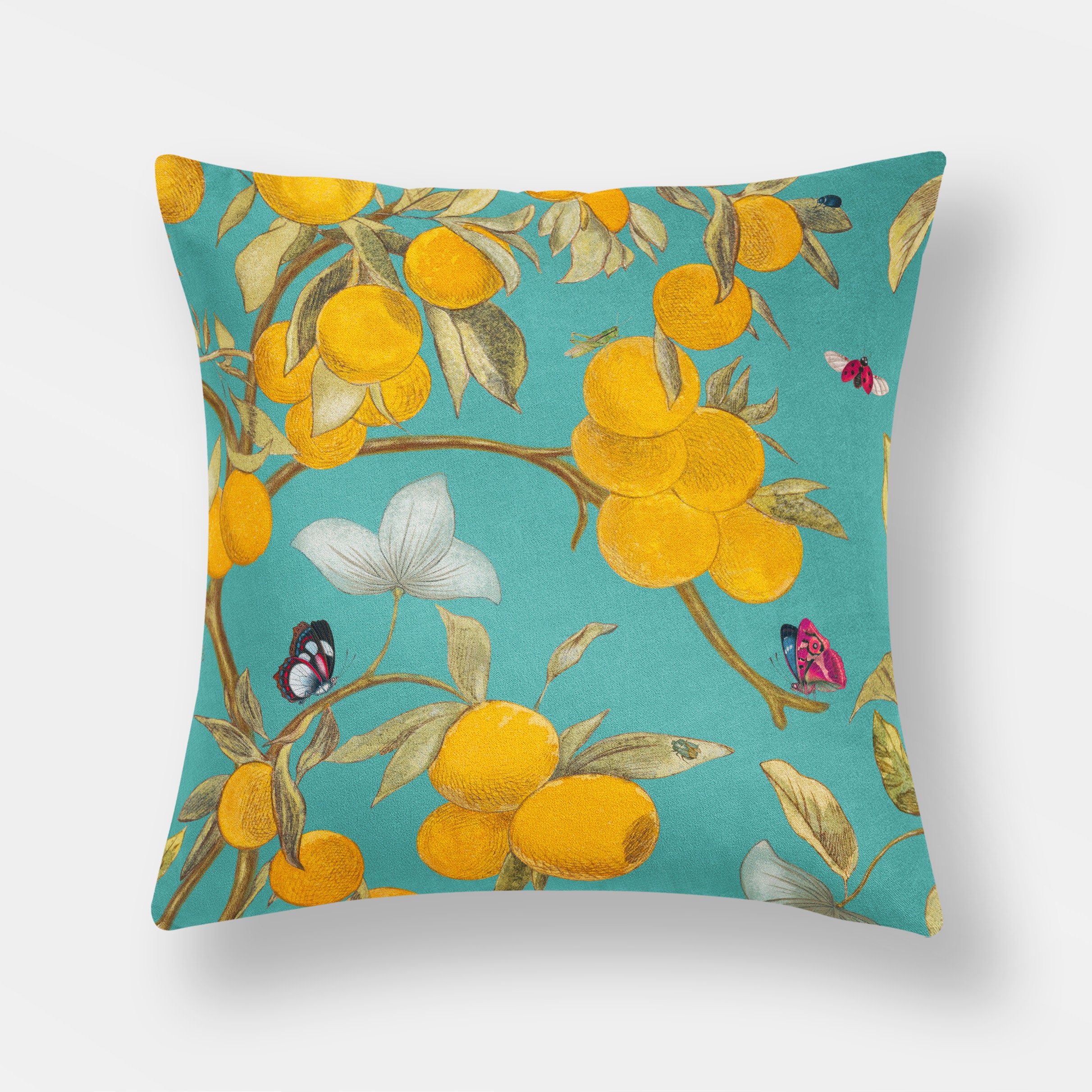 Hummingbirds Lemons and Bugs Super Soft Luxury Velvet - Etsy