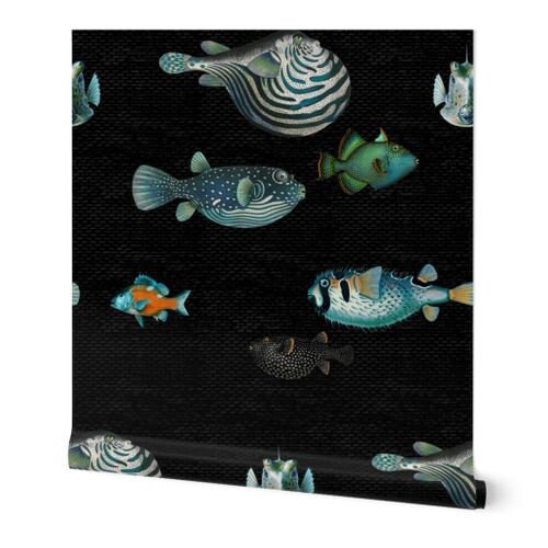 Acquario Fish Wallpaper Black Orange Green Teal Blue CUSTOM - Etsy UK