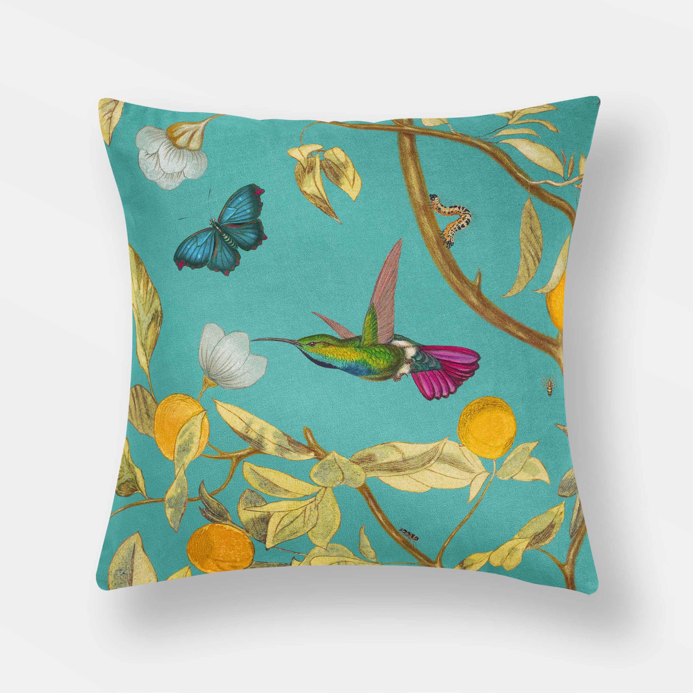 Hummingbirds Lemons and Bugs Super Soft Luxury Velvet - Etsy