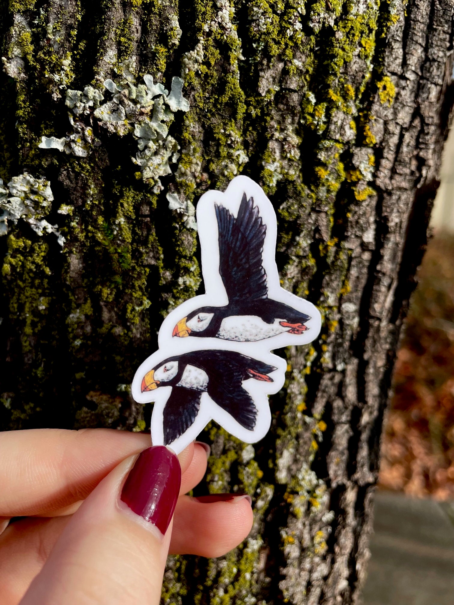 Two Puffins Vinyl Sticker, Alaskan Horned Puffin Sticker, Cute Sticker ...