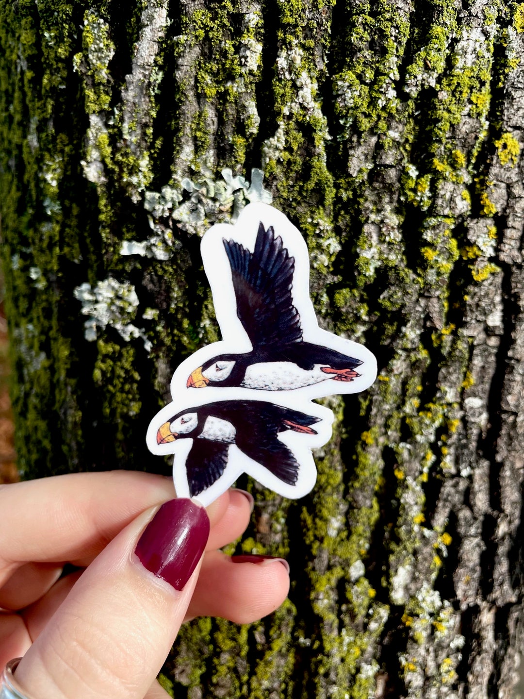 Two Puffins Vinyl Sticker, Alaskan Horned Puffin Sticker, Cute Sticker ...