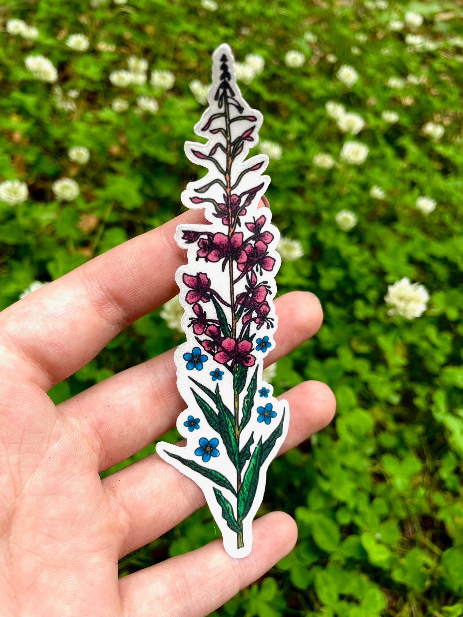 Fireweed Vinyl Sticker, Wildflower Art Sticker, Alaskan Wildflower ...