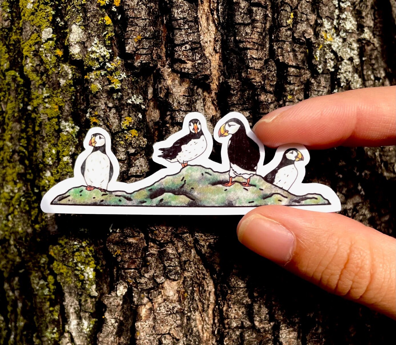 Puffins Vinyl Sticker, Small Ocean Bird Sticker, Watercolor Puffin Bird ...