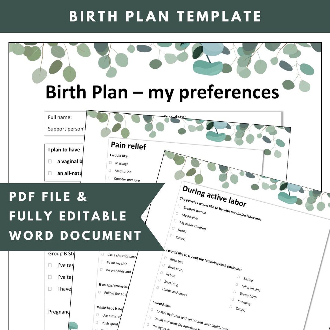 Birth Plan Template, Birth Preferences, Birthing Plan, Hospital Birth ...