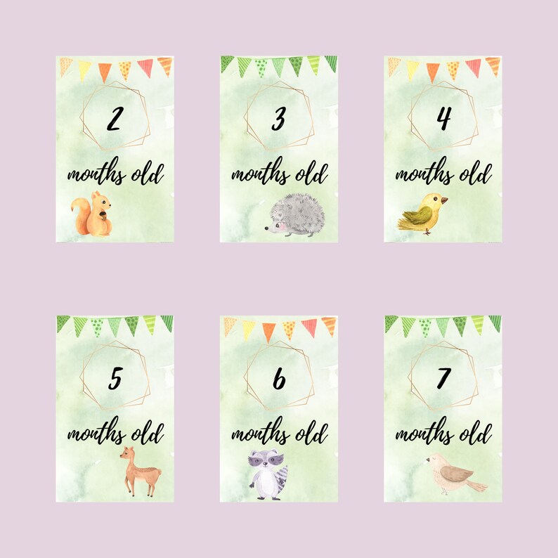 Watercolor Milestone Cards, Printable, Set of 30, PDF, Baby Milestone ...