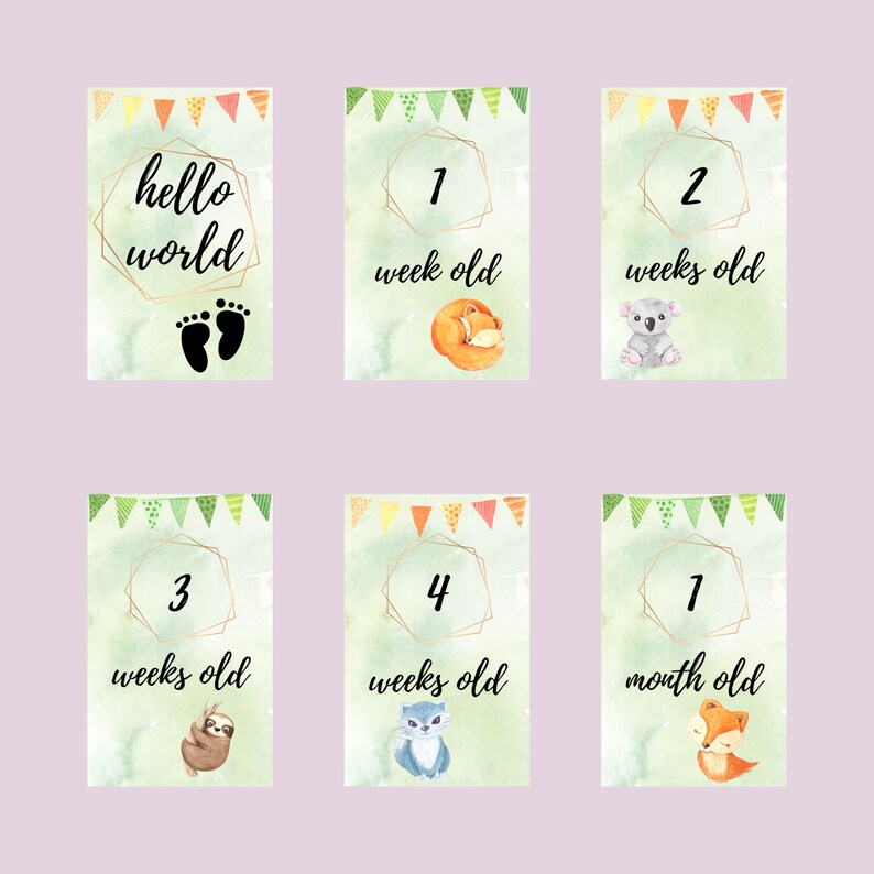 Watercolor Milestone Cards, Printable, Set of 30, PDF, Baby Milestone ...