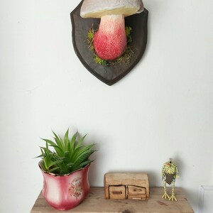 Mushroom Model Bitter Beech Bolete Paper-mache Trophy - Etsy