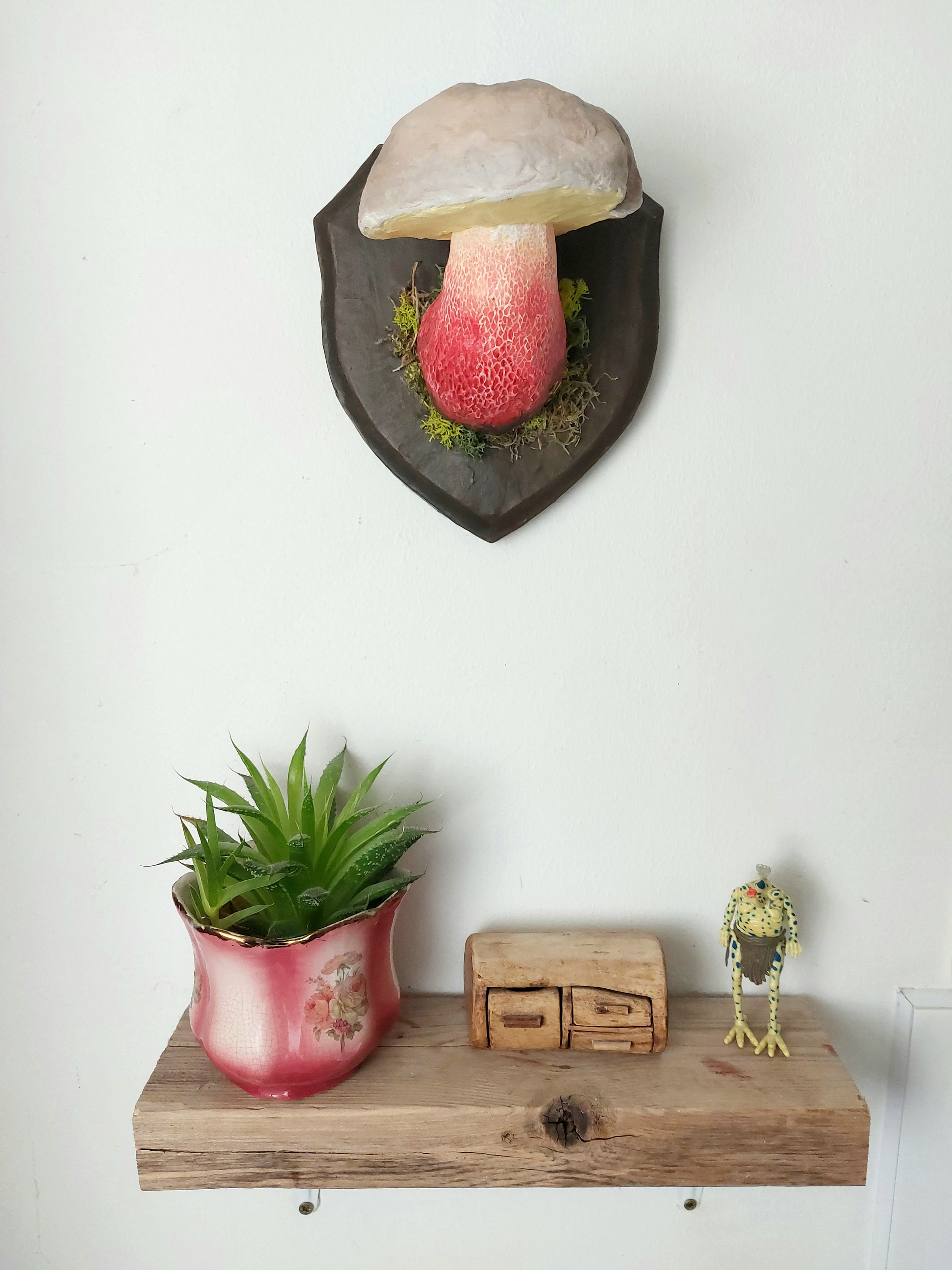 Mushroom Model Bitter Beech Bolete Paper-mache Trophy - Etsy