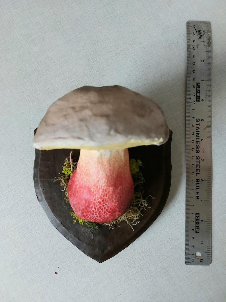 Mushroom Model Bitter Beech Bolete Paper-mache Trophy - Etsy
