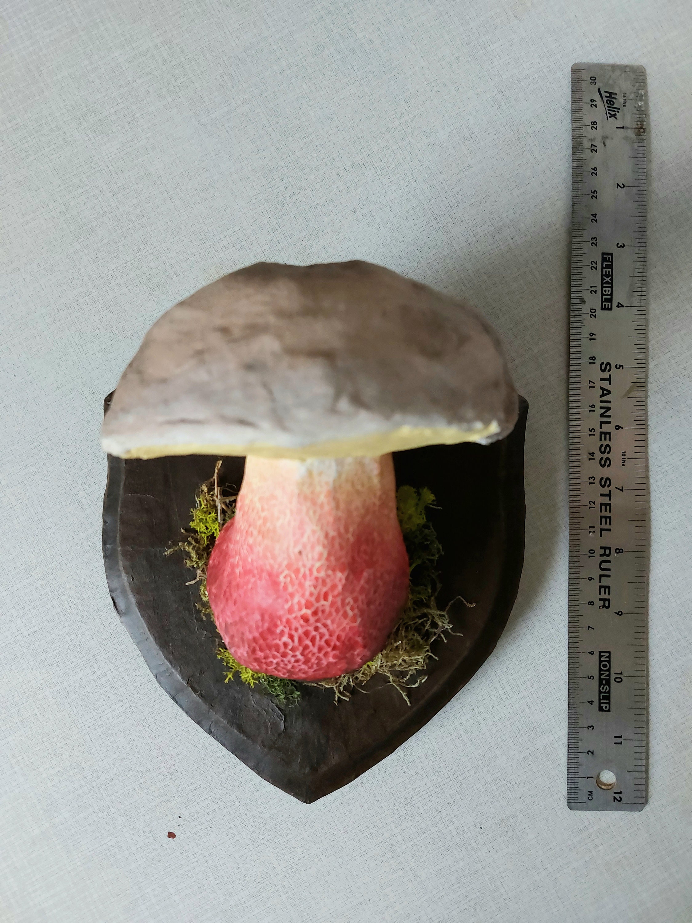 Mushroom Model Bitter Beech Bolete Paper-mache Trophy - Etsy