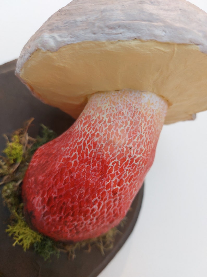 Mushroom Model Bitter Beech Bolete Paper-mache Trophy - Etsy