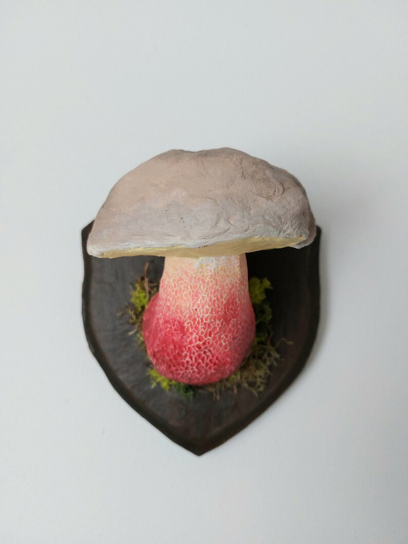 Mushroom Model Bitter Beech Bolete Paper-mache Trophy - Etsy