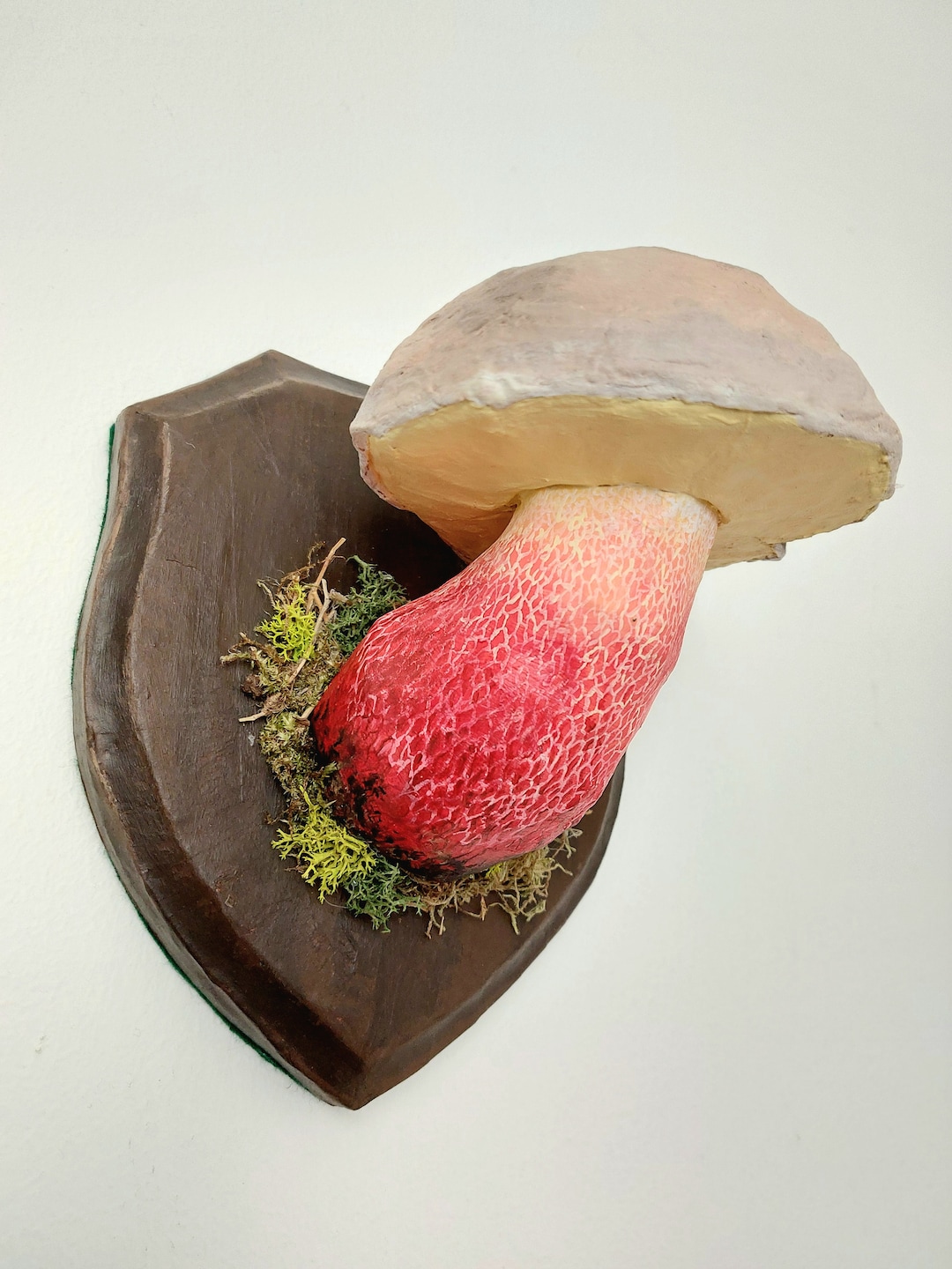 Mushroom Model Bitter Beech Bolete Paper-mache Trophy - Etsy