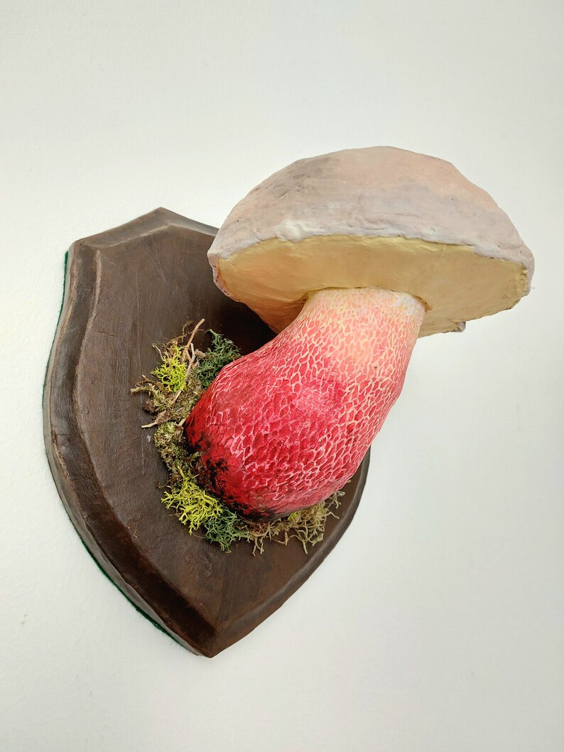 Mushroom Model Bitter Beech Bolete Paper-mache Trophy - Etsy