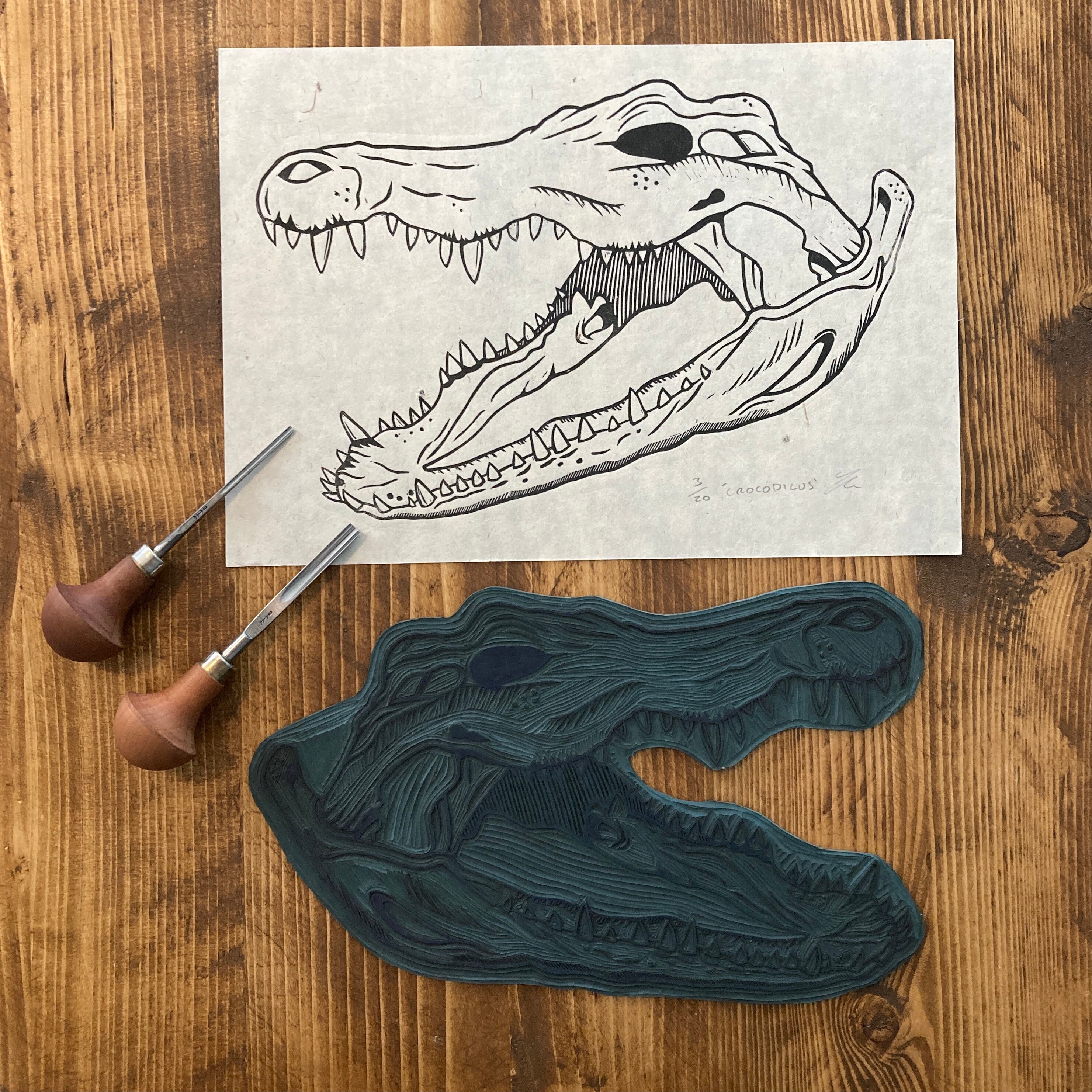 Crocodile Skeleton Drawing