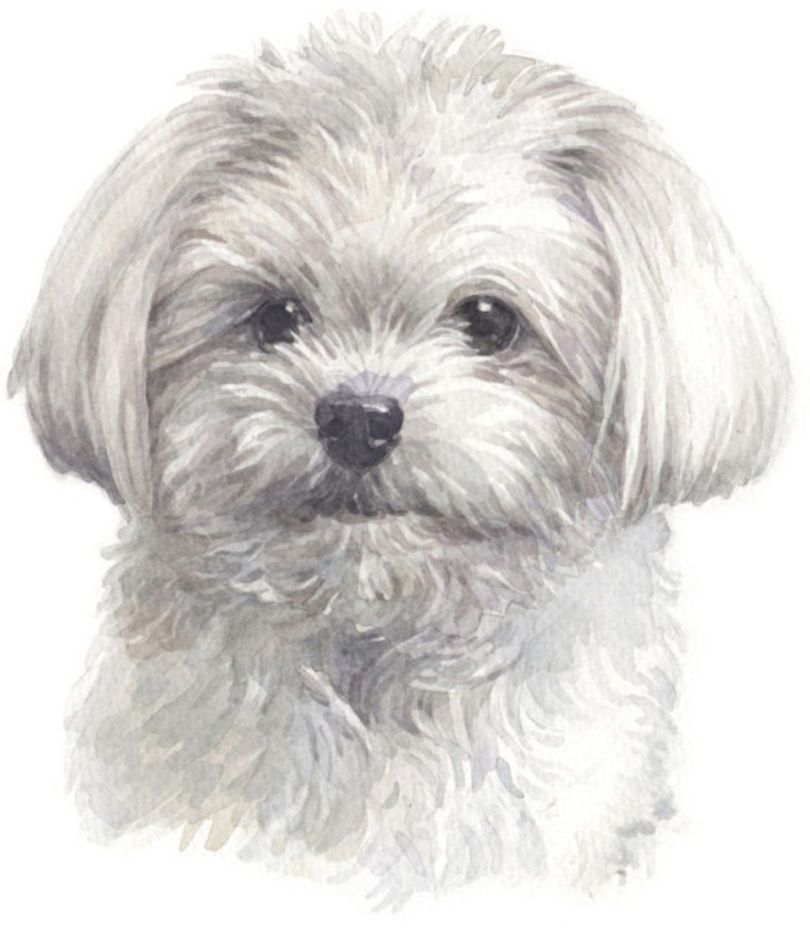 Maltese Cross Stitch Pattern, Printable Dog PDF Pattern, Watercolor ...