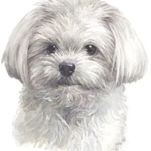 Maltese Cross Stitch Pattern, Printable Dog PDF Pattern, Watercolor ...