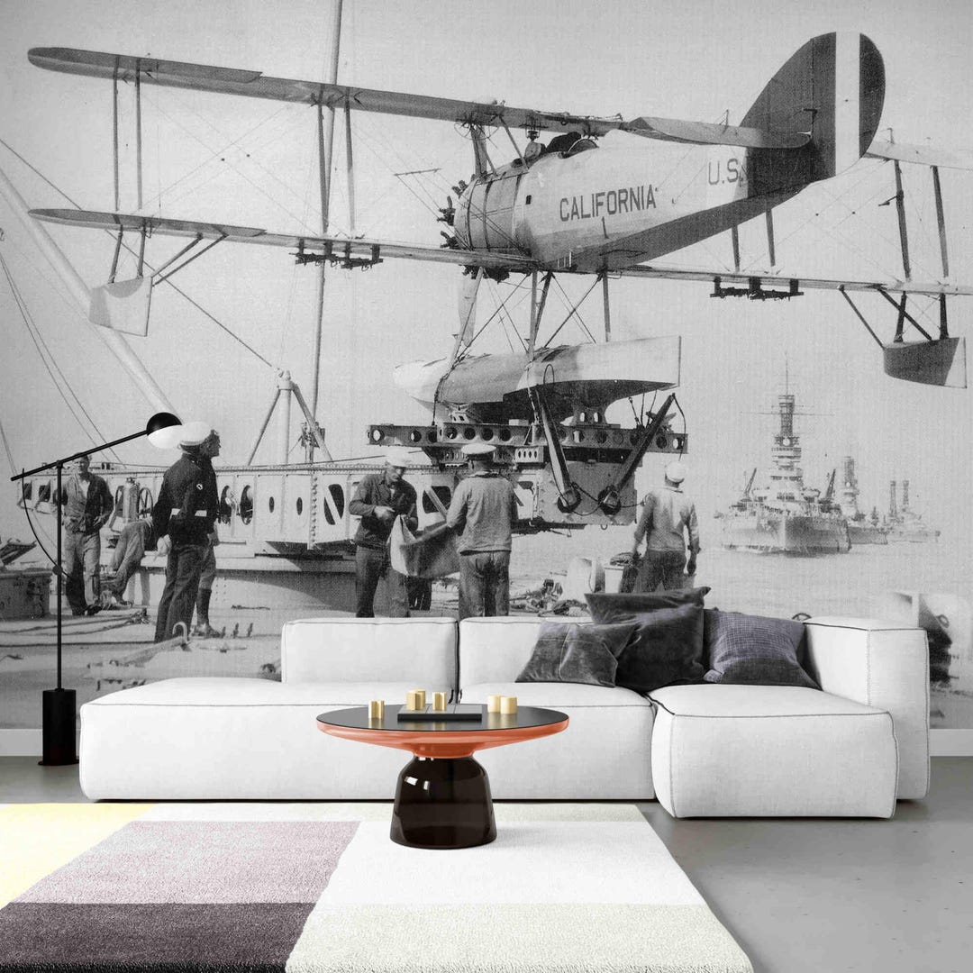 Vintage Military Seaplane Wallpaper Mural - Retro Aircraft Wall Art ...