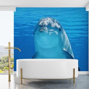 Kids Bedroom Dolphin Wallpaper Peel and Stick, Animal Wall Murals ...