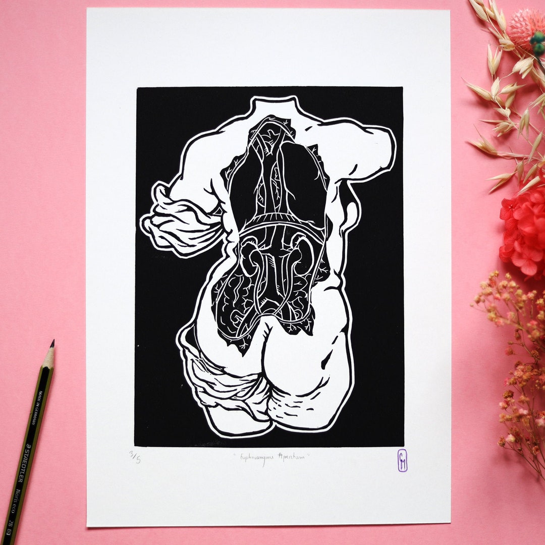 Linocut euphrosyne Apertum, Anatomy, Rubens, 21x29.7cm A4, Black and ...