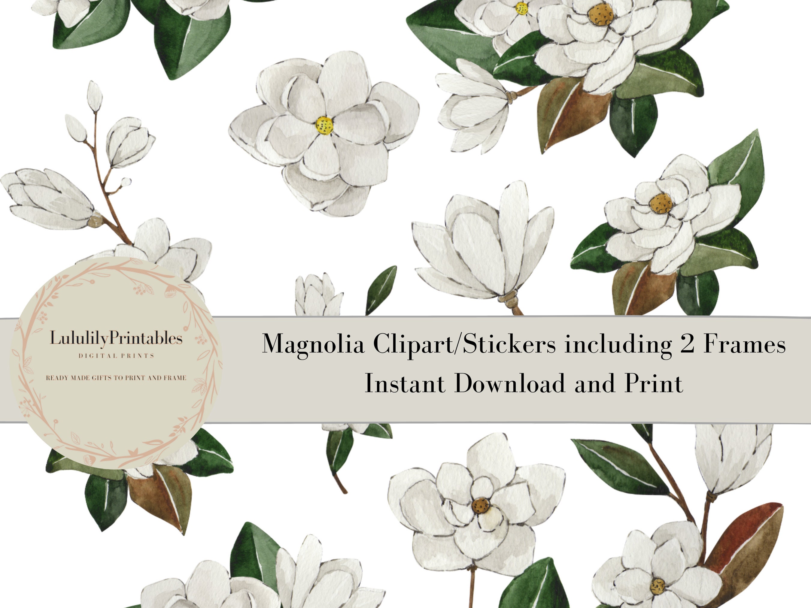 Magnolia, Magnolia Flower Clipart, White Magnolia Wedding Graphics ...