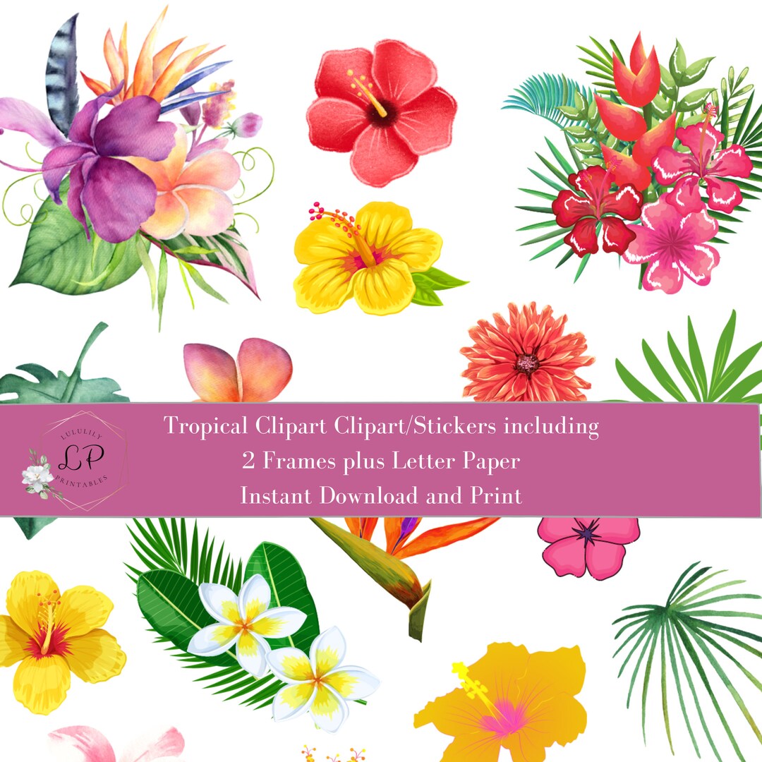 Hibiscus Clipart Hibiscus Tropical Flowers, Hibiscus Floral Clipart ...
