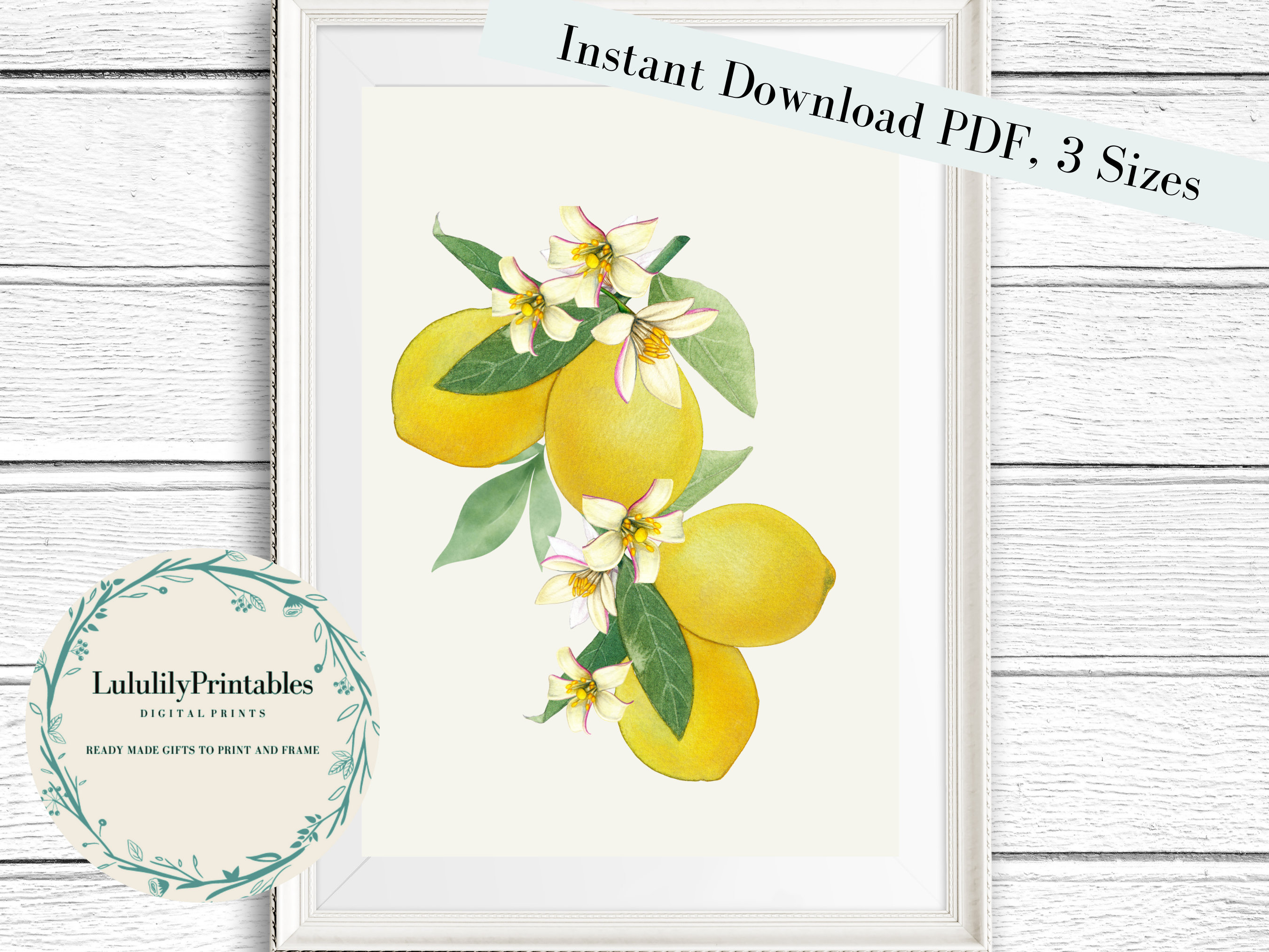 Lemon Citrus Fruit Watercolor Printable Fruit Wall Art - Etsy