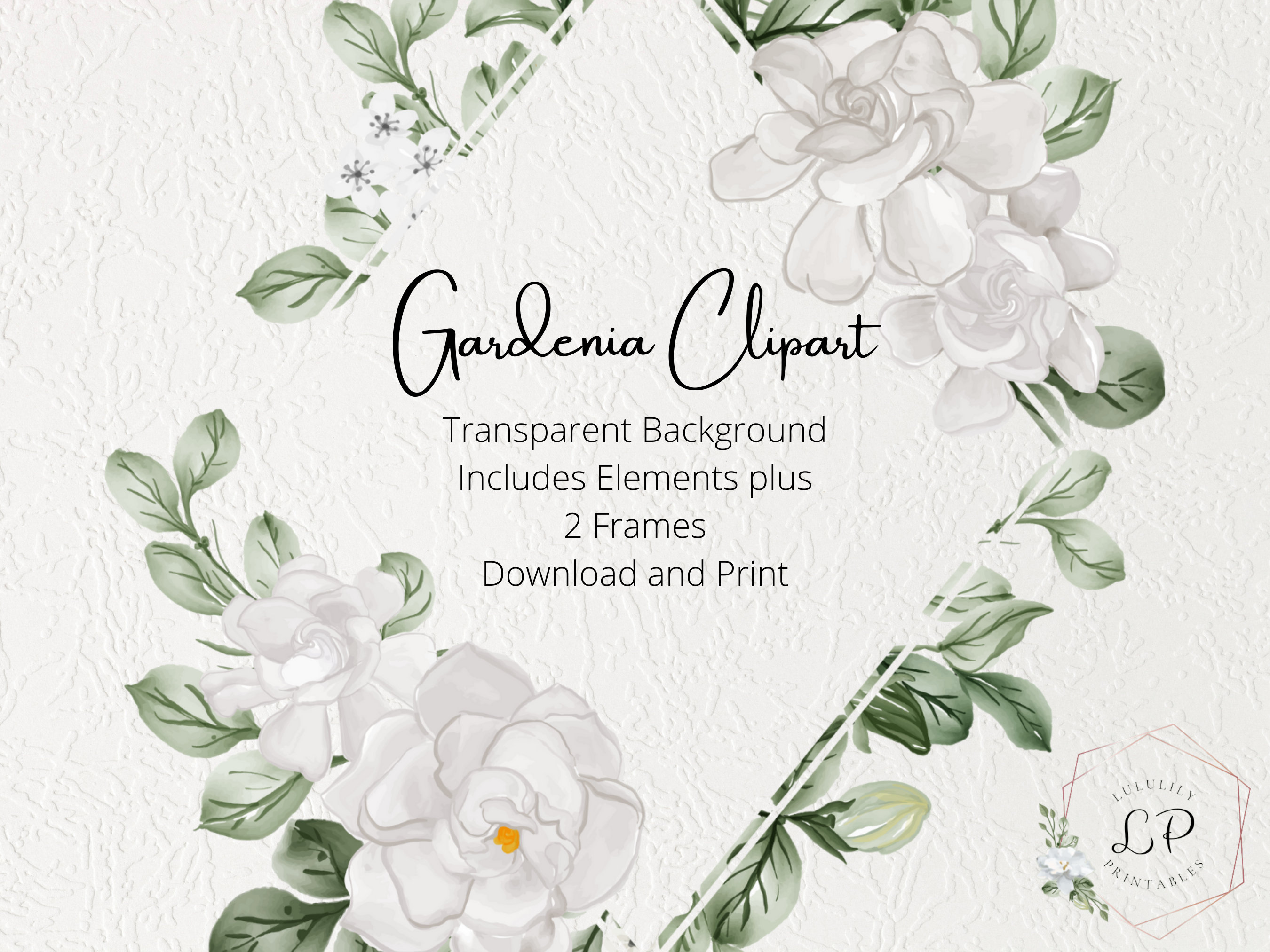 Gardenia Clipart, Floral Clipart, White Gardenia, Flower Stickers ...