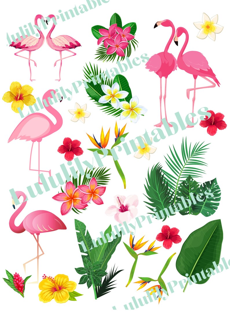 Watercolor Flamingo Clipart, Tropical Leaves, Bird Clipart (digital ...