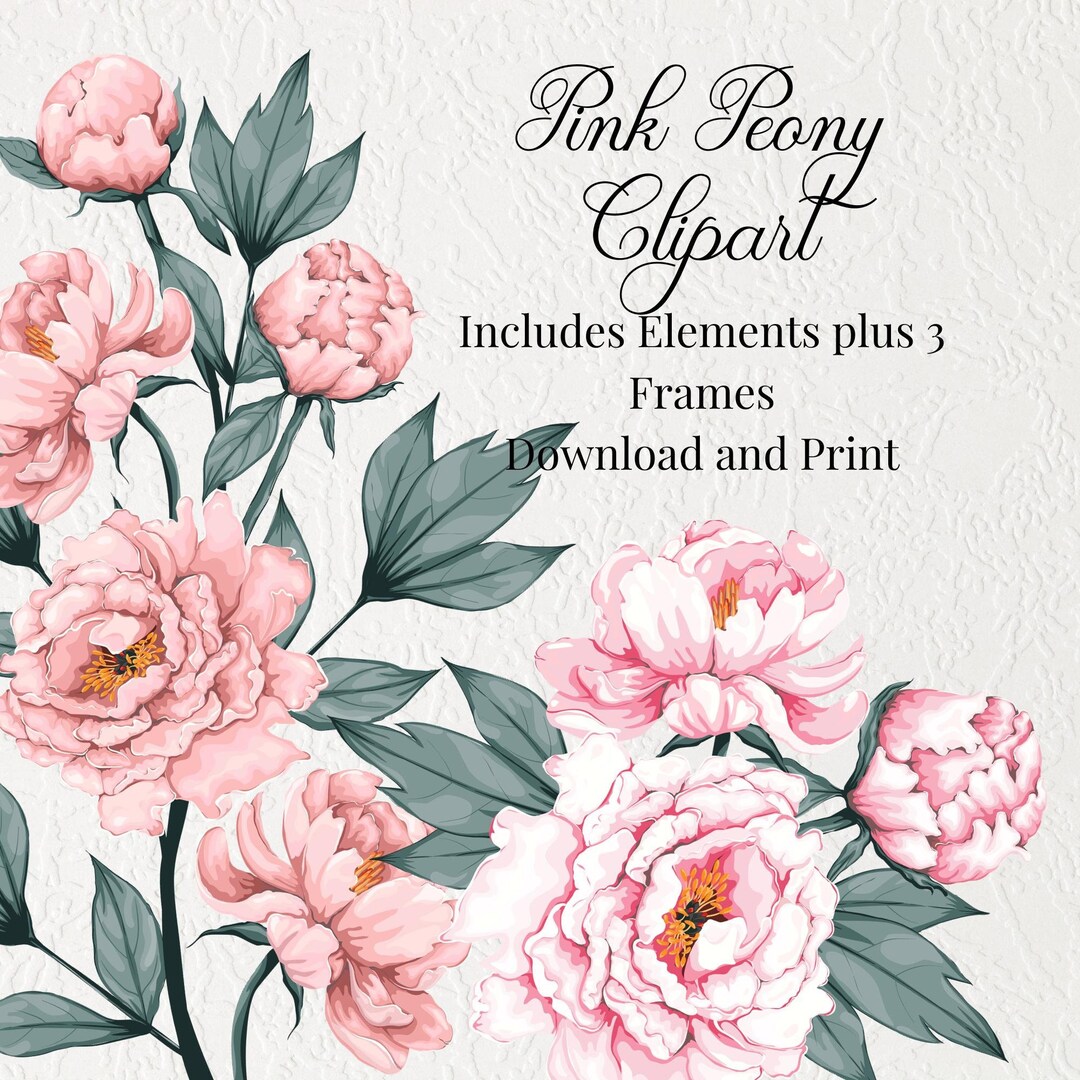 Peony Clipart, Pink Peonies, Floral Clipart, Wedding Graphics ...