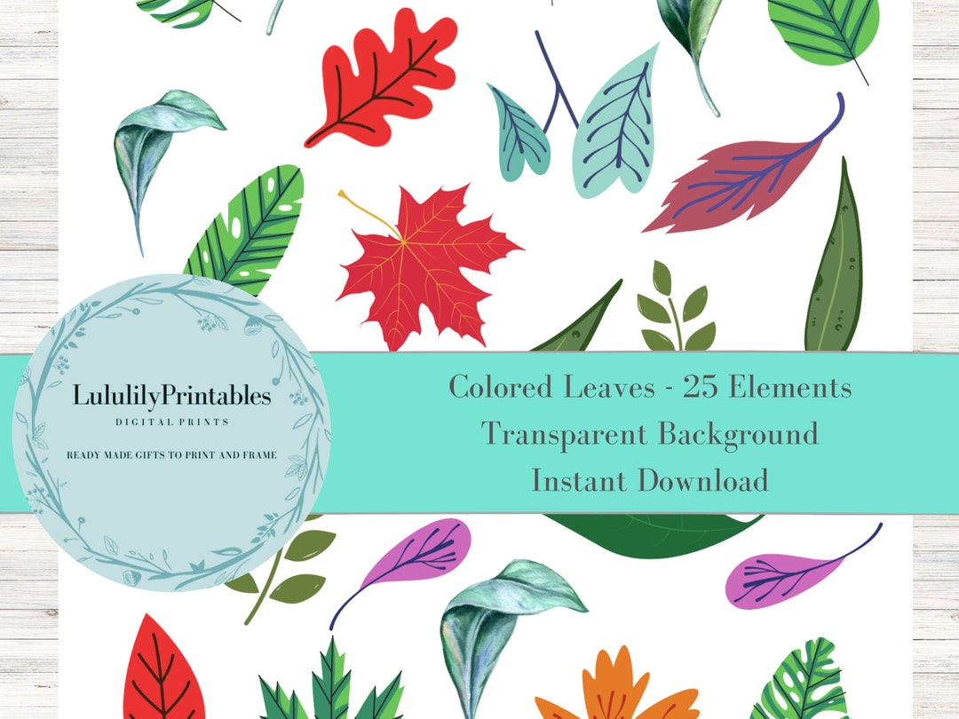 Leaf Stickers Fall Colors Botanical Printable Clipart - Etsy