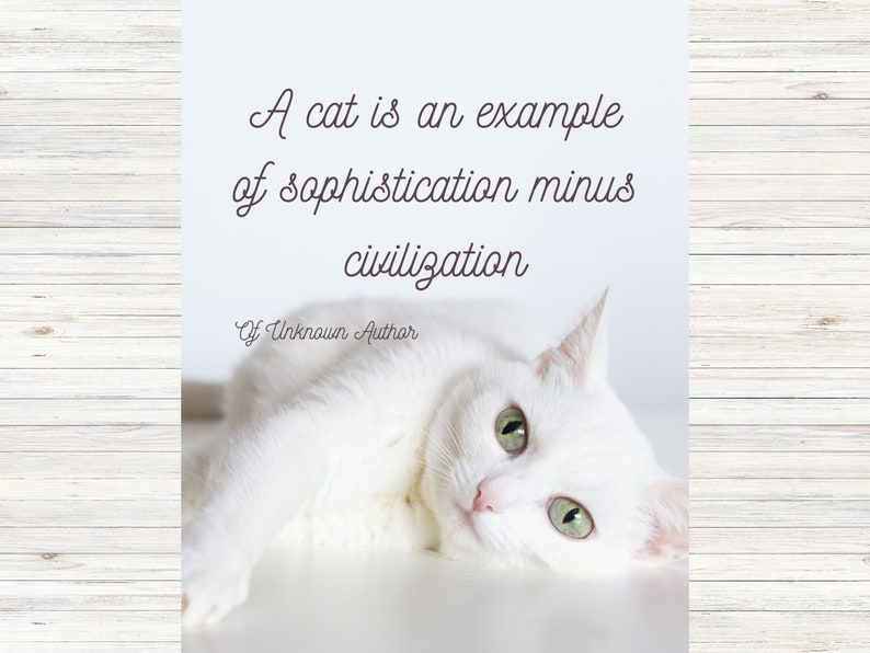 Cat Quotes Kitty Sayings Animal Prints Cat Sayings Printable Cat Wall ...