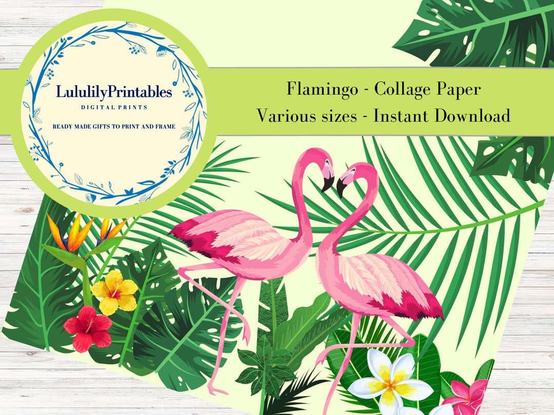 Flamingo Digital Paper Printable Flamingo Collage Paper in 3 Sizes Use ...