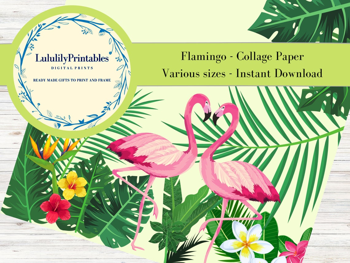Flamingo Digital Paper Printable Flamingo Collage Paper in 3 Sizes Use ...