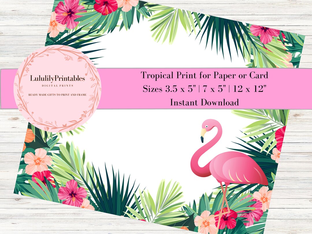 Tropical Flamingo Print: Collage Paper, Scrapbook Border (digital ...