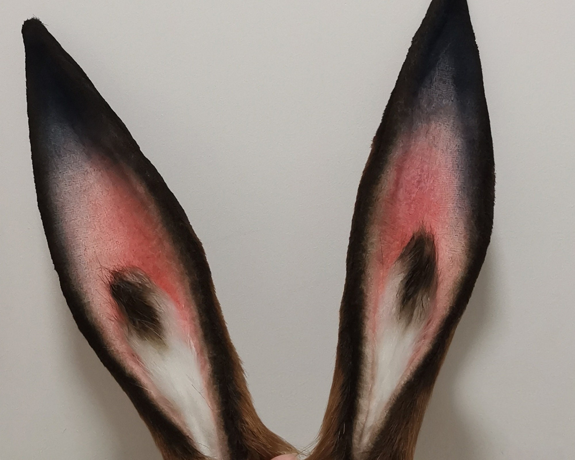 Brown Rabbit Earscute Luxury Realistic Donkey Ears - Etsy