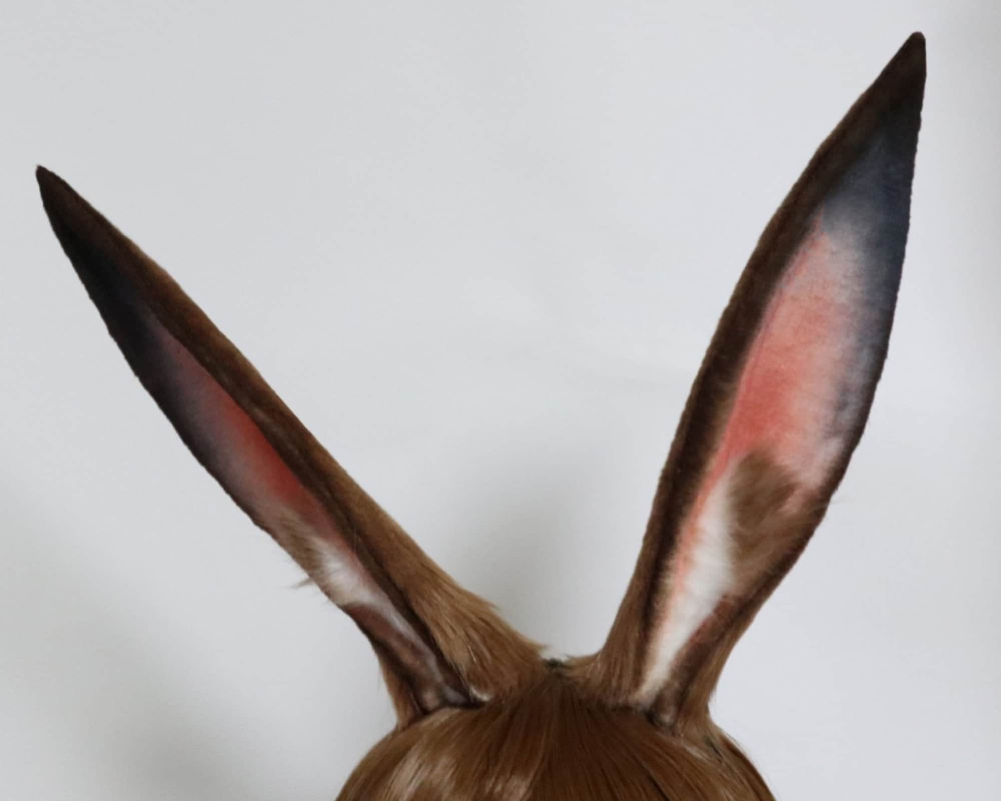 Brown Rabbit Earscute Luxury Realistic Donkey Ears - Etsy