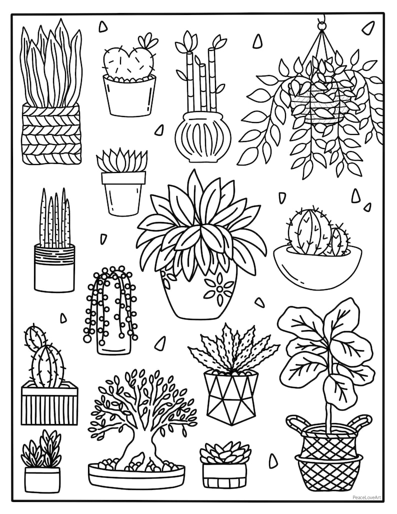 Succulent, Cactus & House Plant Coloring Page - Etsy