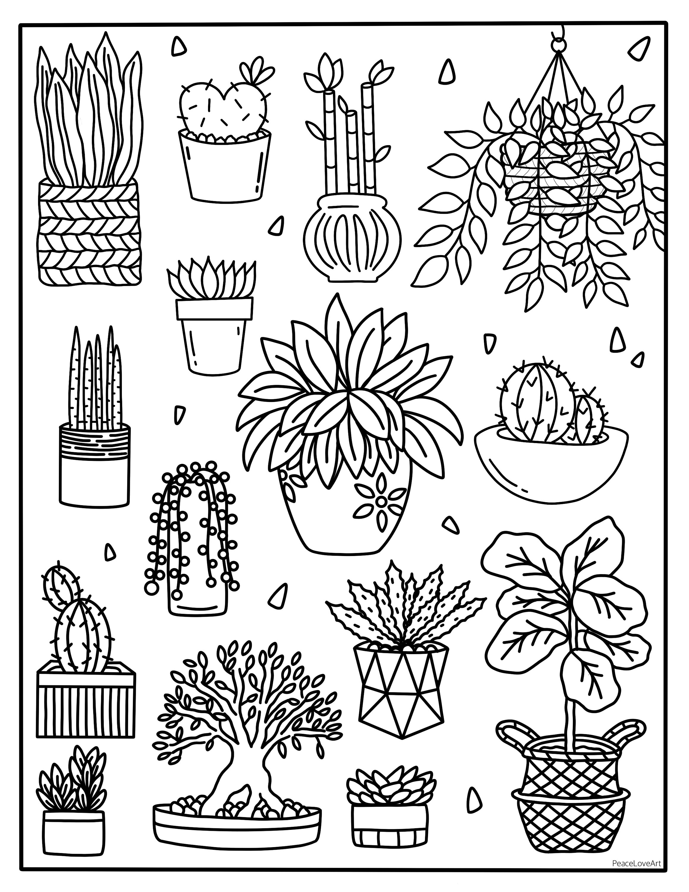 Succulent, Cactus & House Plant Coloring Page - Etsy