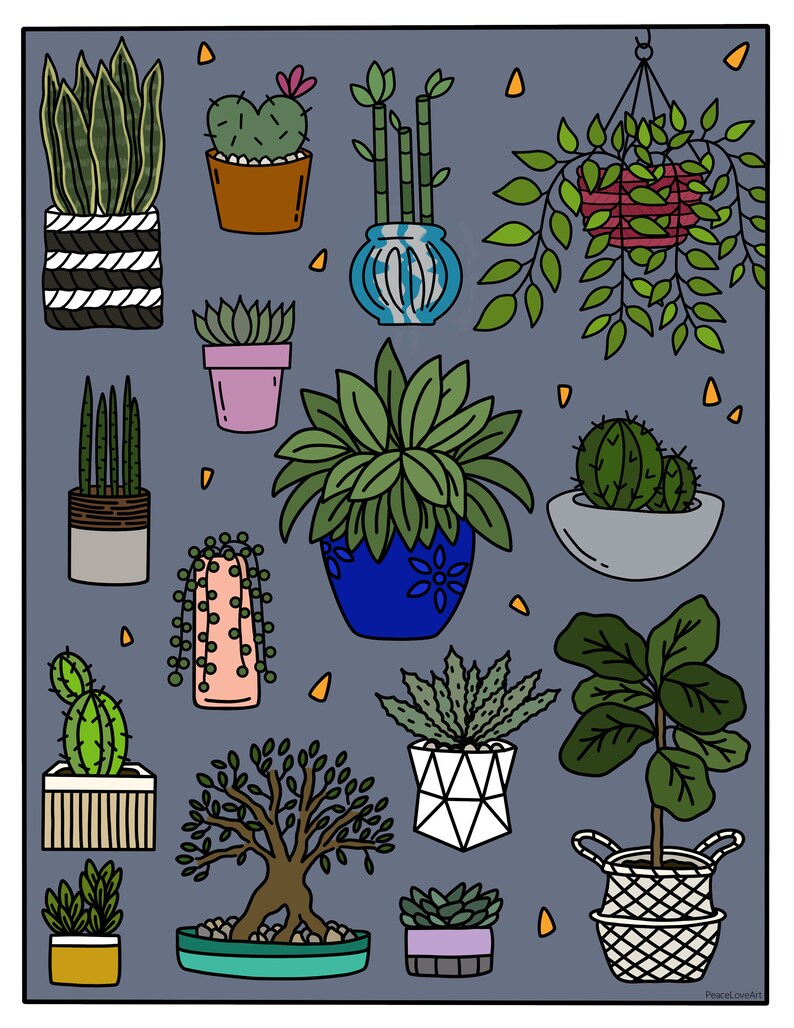 Succulent, Cactus & House Plant Coloring Page - Etsy