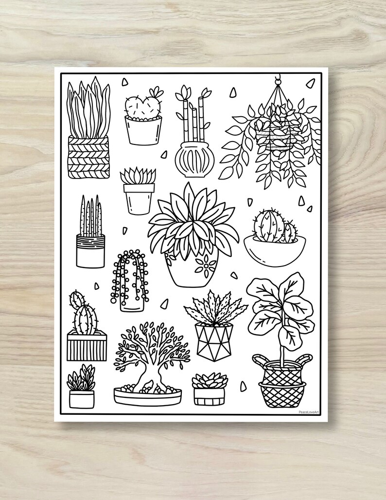 Succulent, Cactus & House Plant Coloring Page - Etsy