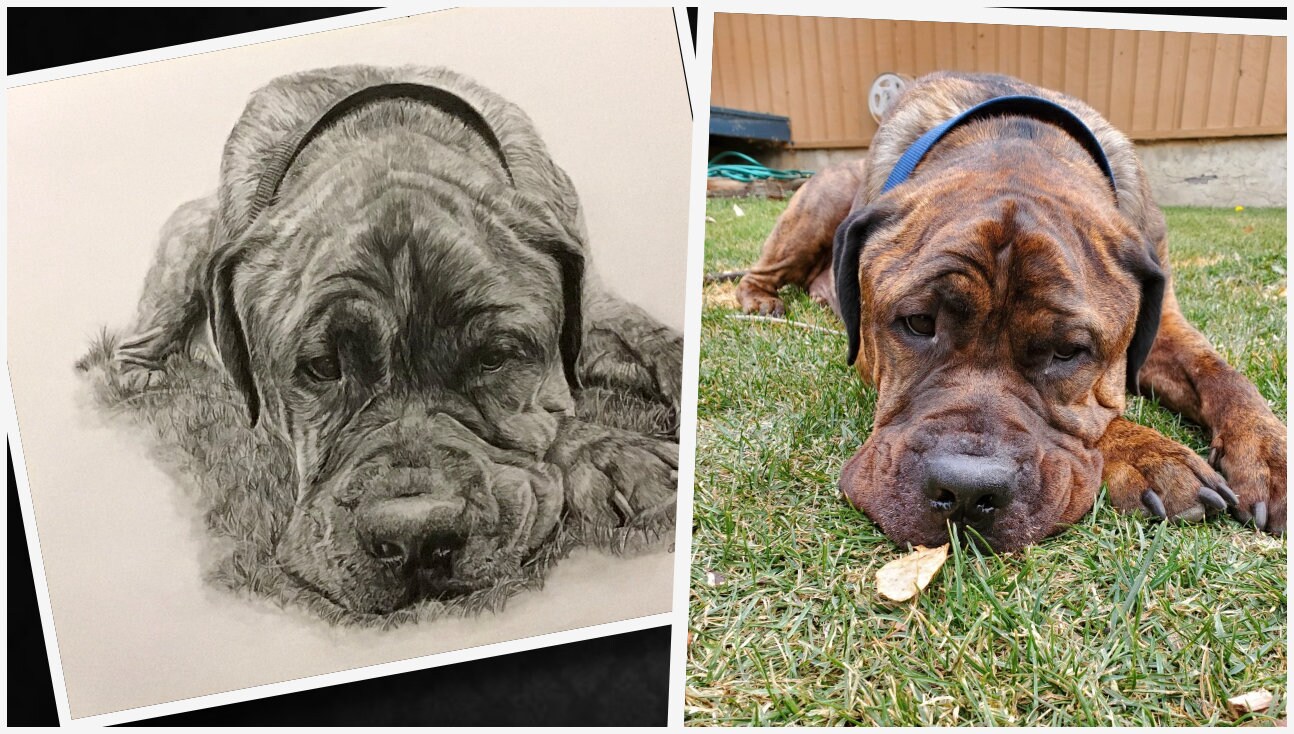 Custom Graphite Pet Portrait, Pencil Drawing, Realism, Animal Art ...