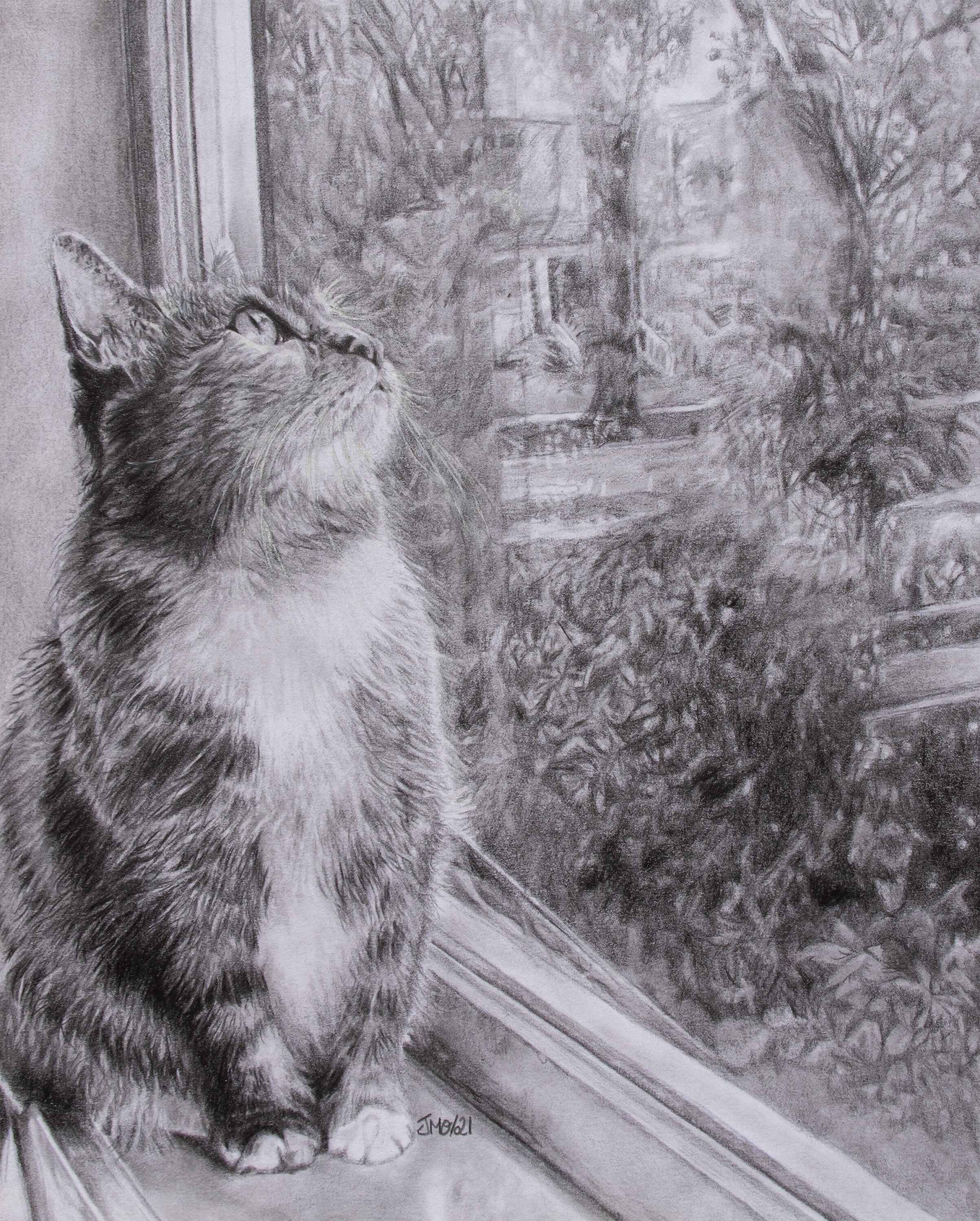 Custom Graphite Pet Portrait, Pencil Drawing, Realism, Animal Art ...