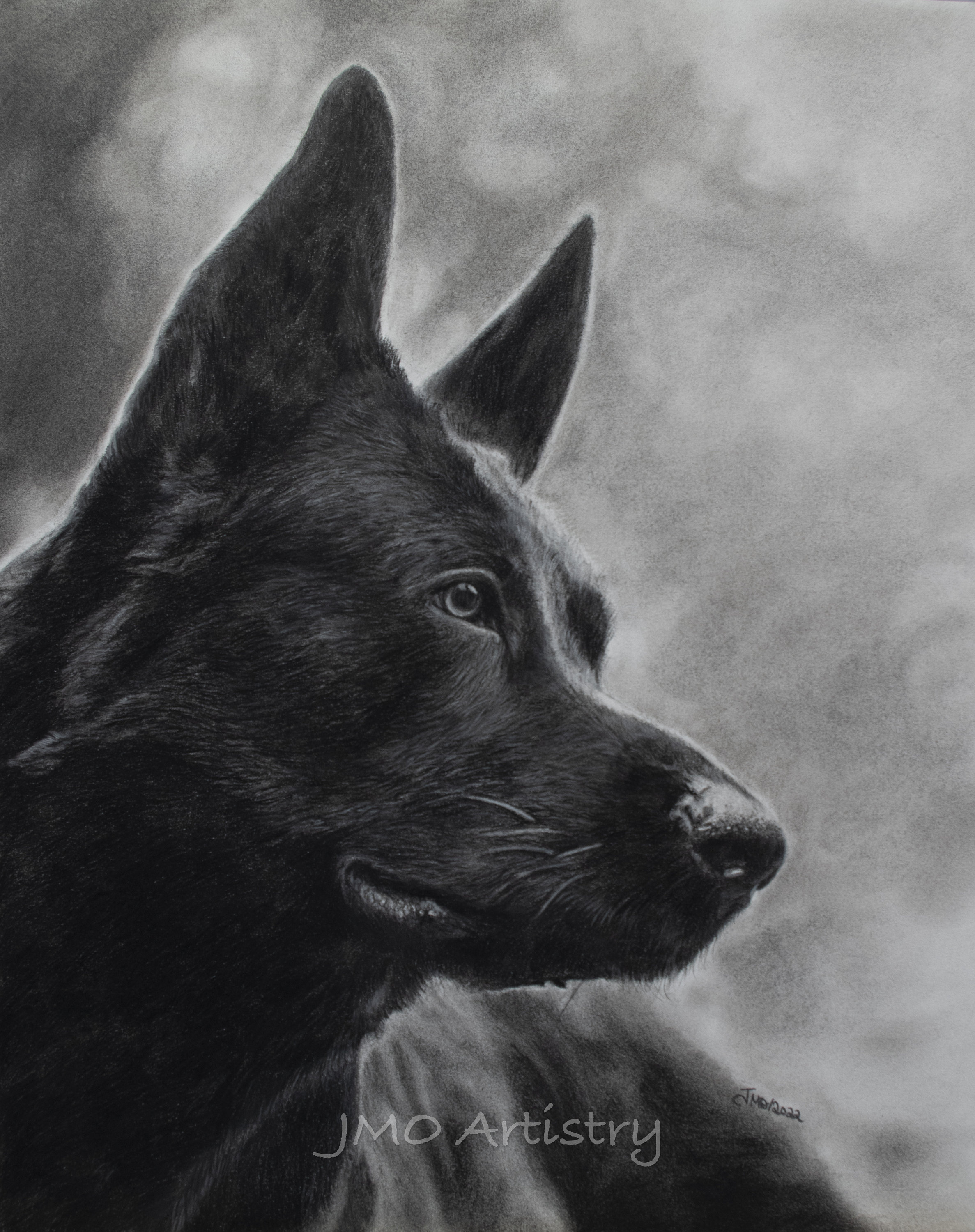 Custom Graphite Pet Portrait, Pencil Drawing, Realism, Animal Art ...
