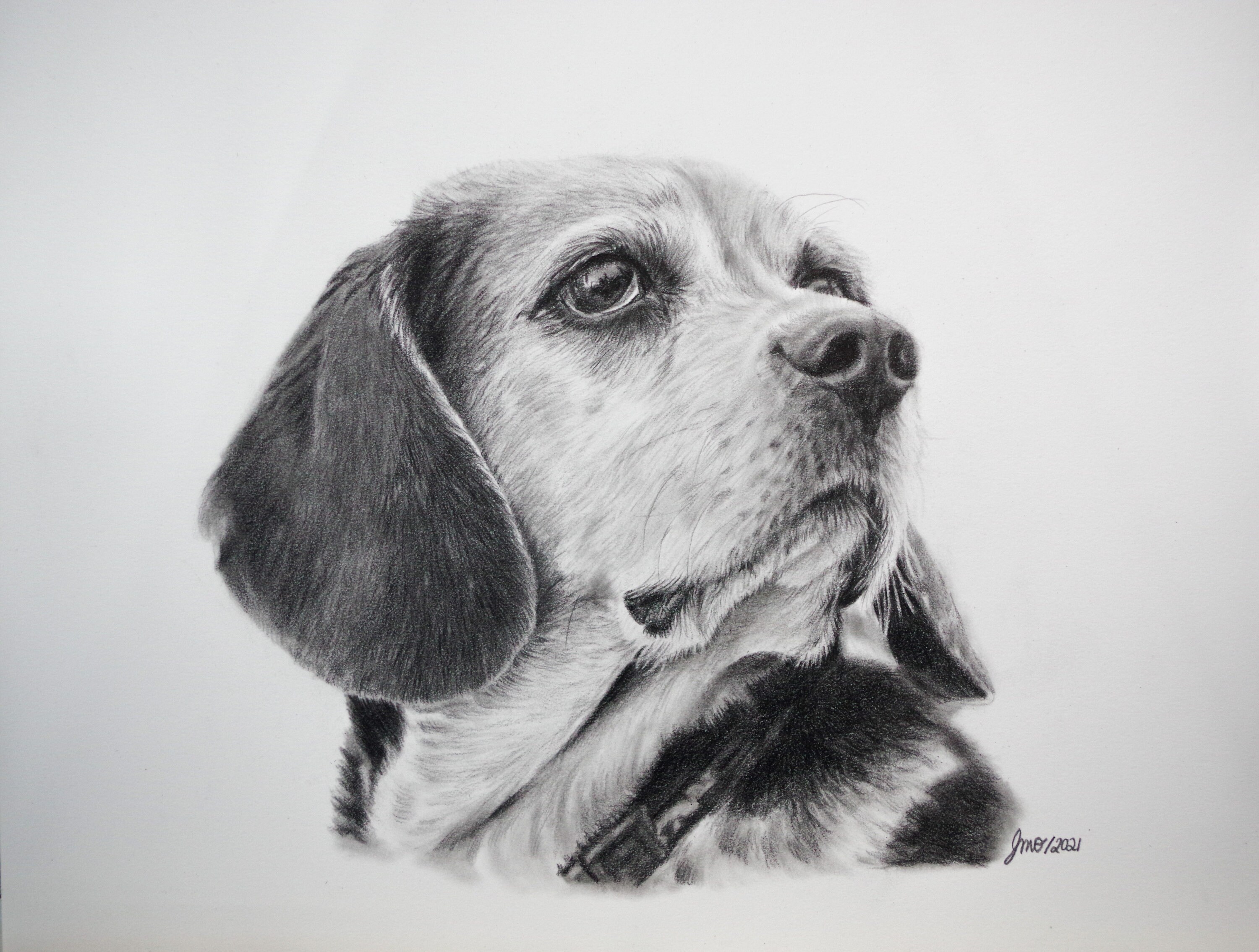 Custom Graphite Pet Portrait, Pencil Drawing, Realism, Animal Art ...