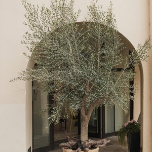 Italy Set of 3 Prints, Italy City Art, Italy Wall Art Prints, Modern ...