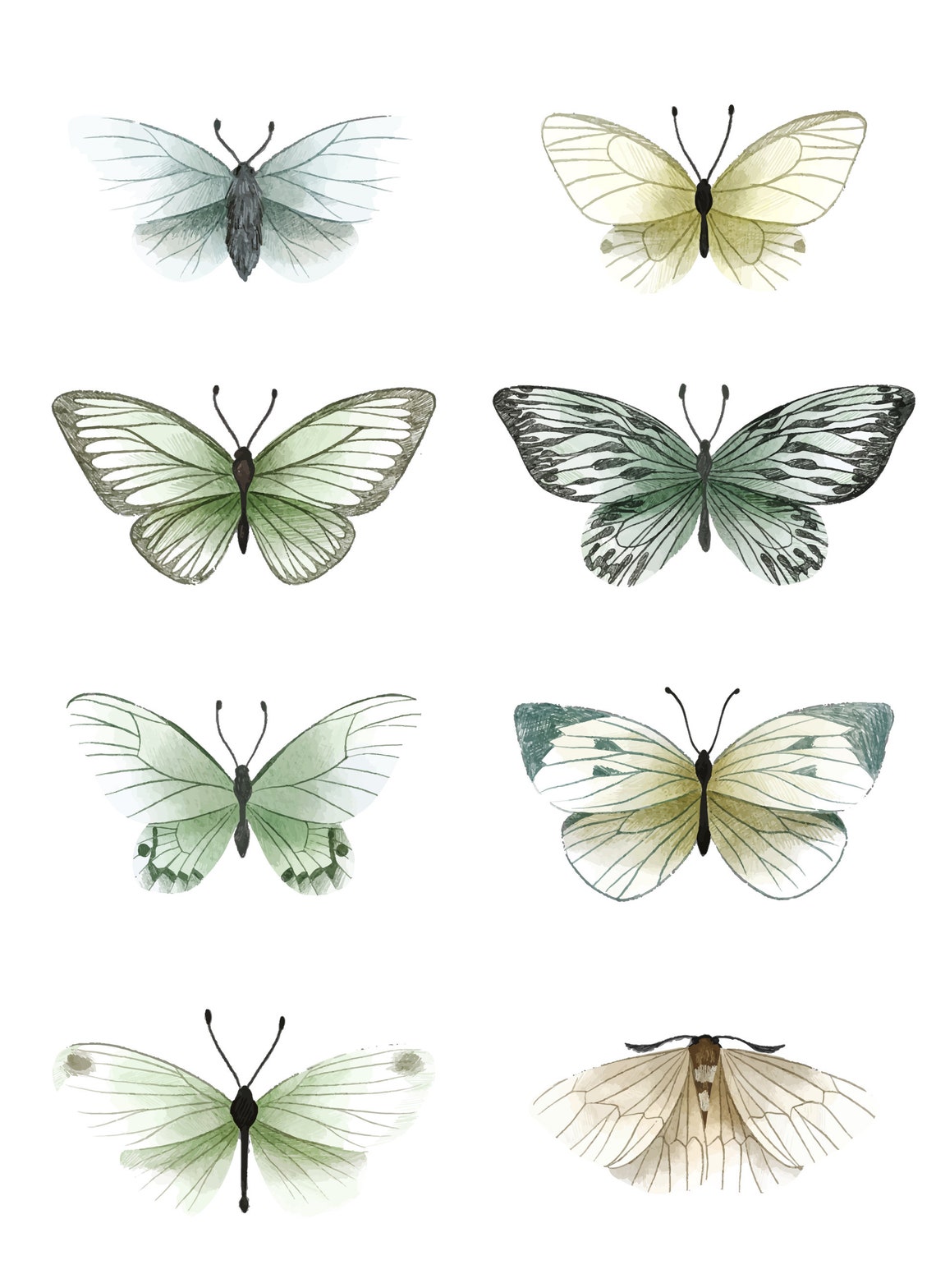Flower,butterfly, Green Wall Art, Botanical Prints, Set of 3 Prints ...