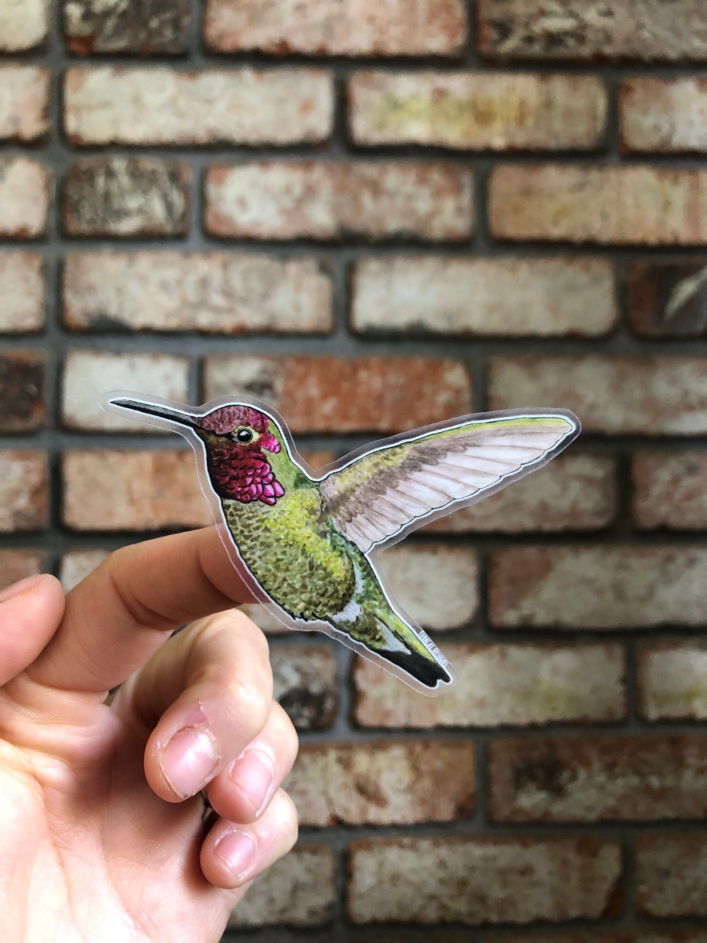 Hummingbird Sticker for Waterbottle, Laptop, Etc. - Etsy