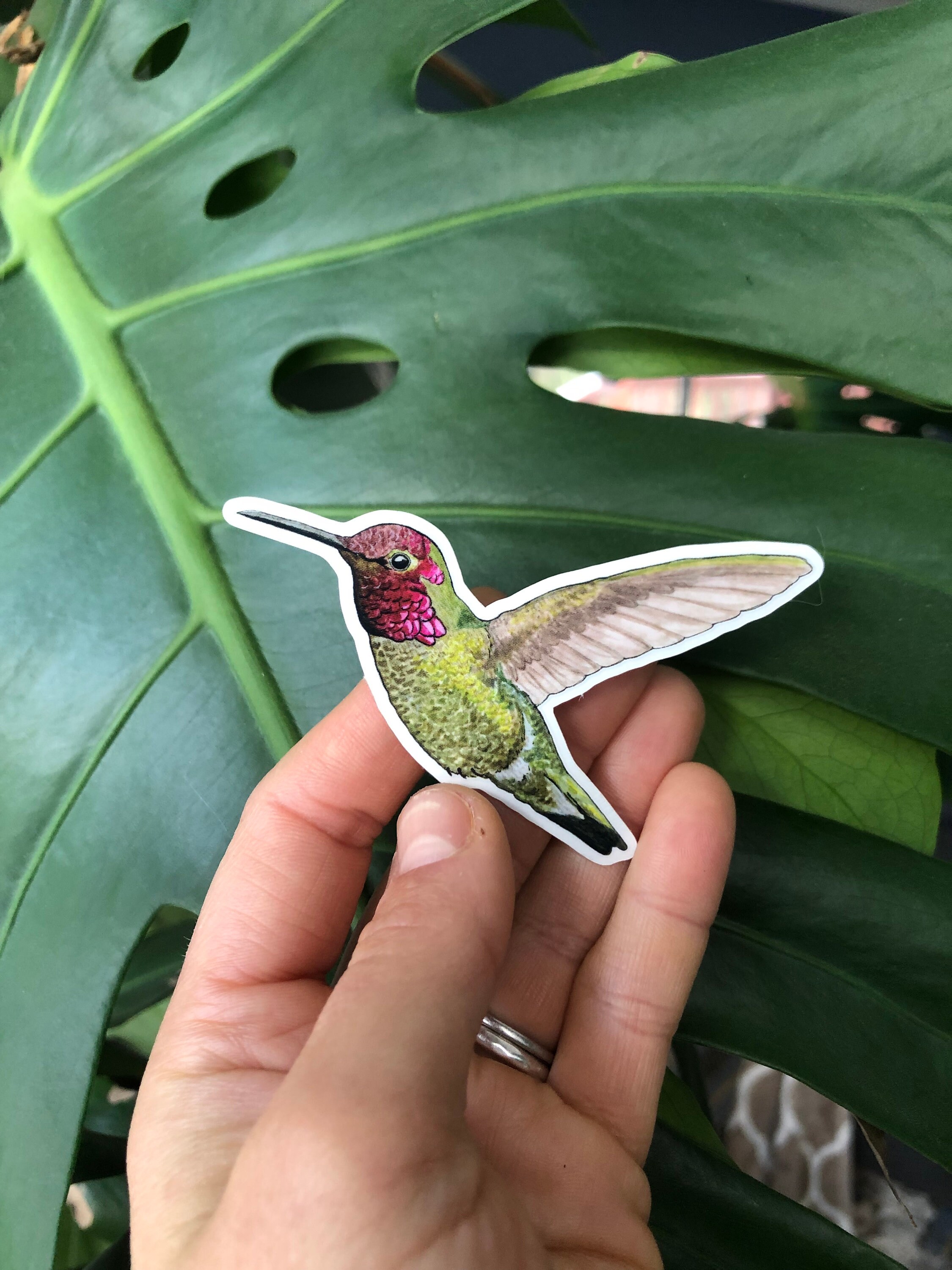 Hummingbird Sticker for Waterbottle, Laptop, Etc. - Etsy